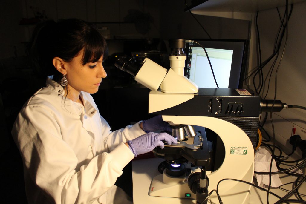 International Women's Day | NCMH