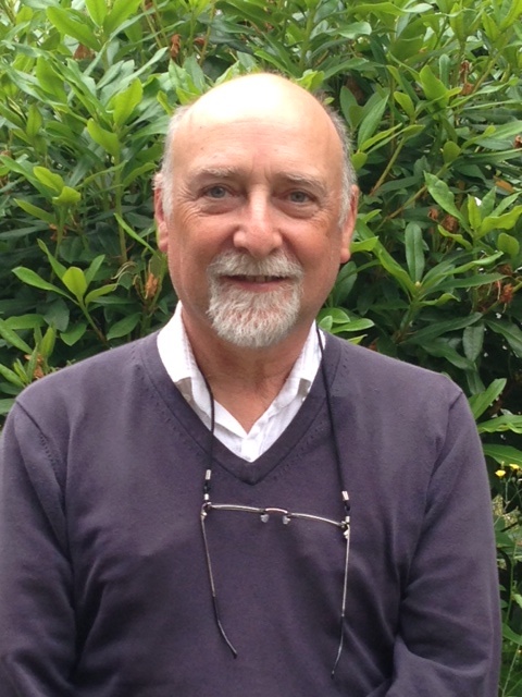 Professor Peter Huxley | NCMH